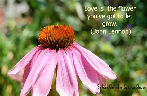 Flower Love Flower Quotes Love Flower Quotes Inspirational