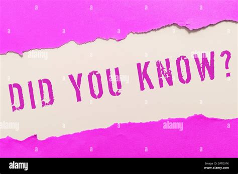 Text Caption Presenting Did You Know Question Business Overview Fun Facts And Figures