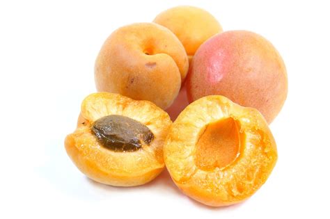 20000 Free Apricot Fruit And Apricot Images Pixabay