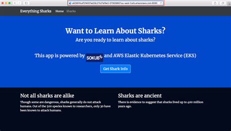 Aws Kubernetes Aws Elastic Kubernetes Service Eks Sokube
