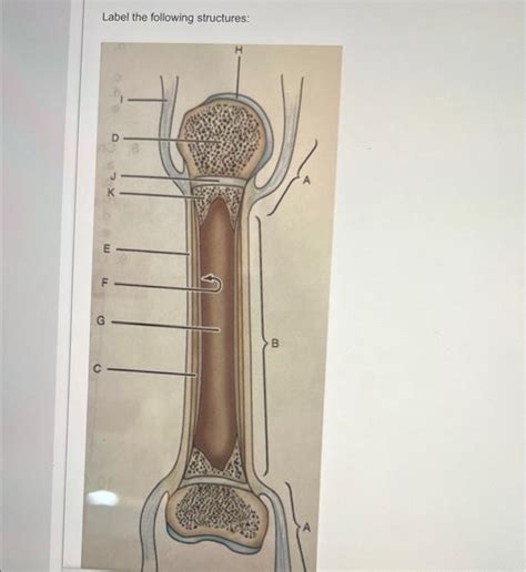 Solved Label The Following Structures