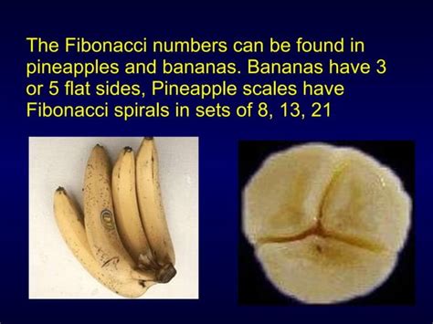 Fibonacci Sequence And Golden Ratio PPT Physics Science