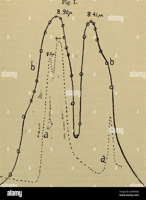 What Is An Absorption Spectrum Apex Unlock The Secrets To Spectroscopy