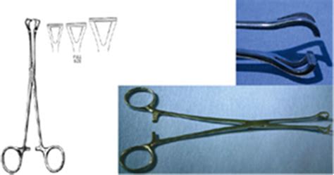 Midterm Flashcards Quizlet