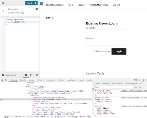 Using The Wordpress Customizer