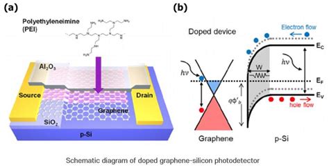 Enhancing The Photodetector With Graphene The Graphene Council