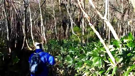 My山歩記 2012 10 29 釈迦ヶ岳 YouTube