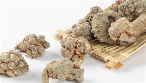 三七粉是什么 生活百科 微文网 维文网