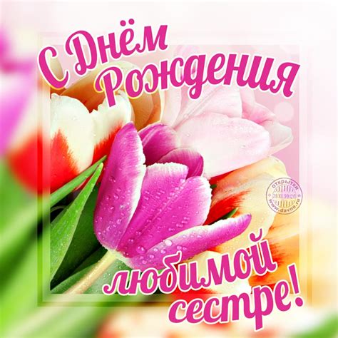 Поздравление С Днем Рождения Старшей Сестре —