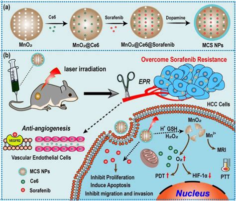 Tumor Microenvironment Responsive Nano Platform For Overcoming Sorafenib Resistance Of
