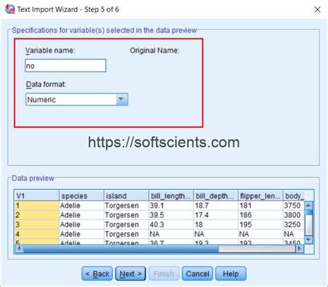 Cara Import File CSV Di SPSS Softscients