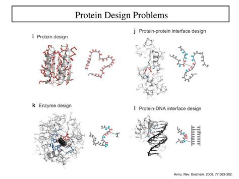 PPT Computational Protein Design PowerPoint Presentation Free Download ID 2472144