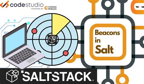 Beacons In Salt Naukri Code 360