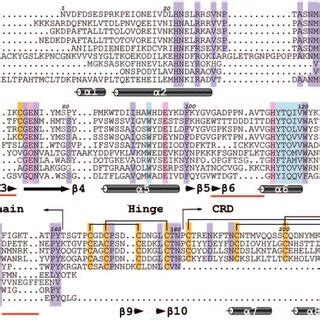 Structure Based Sequence Alignment Of Representative Proteins The