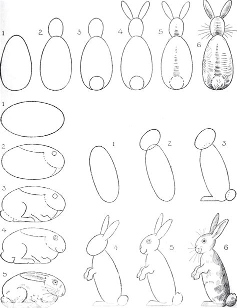 How To Draw Rabbits Easy Step By Step Instruction Free Printable Puzzle Games