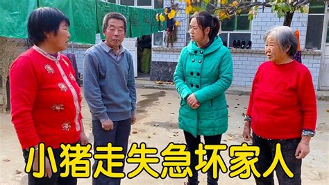 一夜间小猪莫名丢失，全家人着急忙慌满村寻找，76岁奶奶不淡定了【姑嫂一家亲】 Youtube