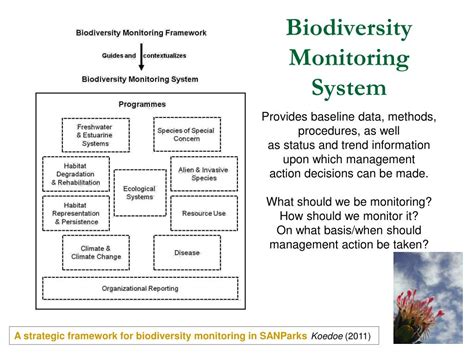 Ppt Sanparks Biodiversity Monitoring System An Integrated Organisational Framework Powerpoint