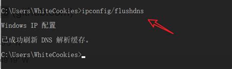 Github快速访问 Csdn博客