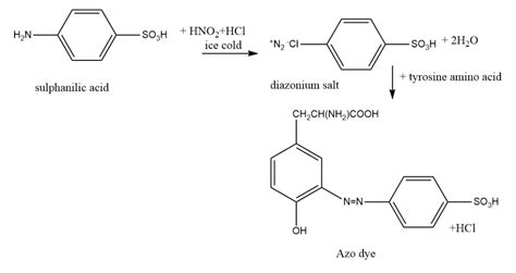 Laboratory Test For Protein 7 Easy Protocol Chemistry Notes