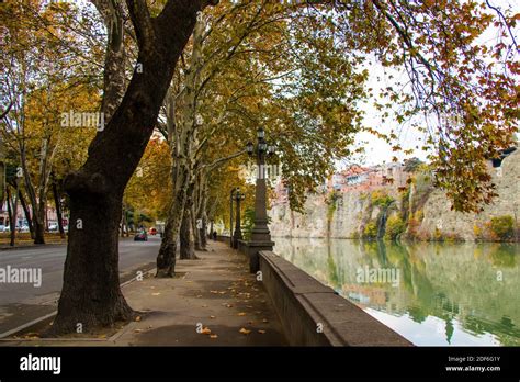 Ash Tree Park Landscape And View In Tbilisi Georgia Autumn Theme