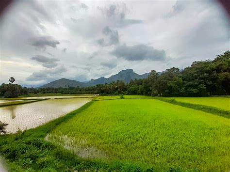 Mathan Kumar 写真