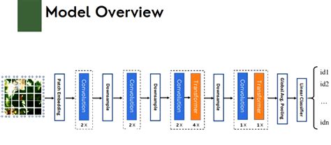 Github Iiitayushiapple Disease Identification Model Transformer