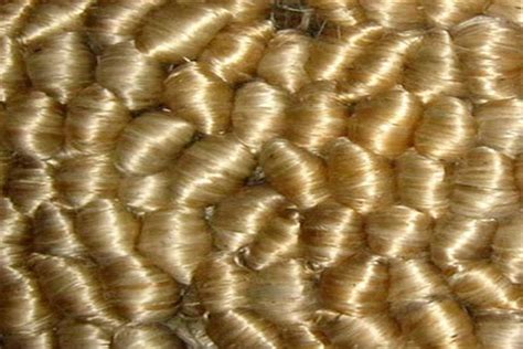 Golden Jute Global Jute Company