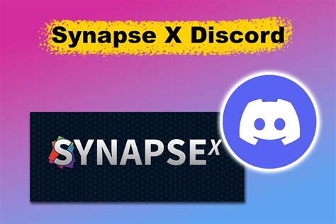 Synapse X Discord Server Complete Guide Discord