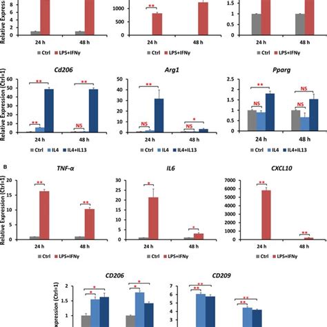 Expression Of M1 M2 Polarization Markers Under Different Treatment Download Scientific Diagram