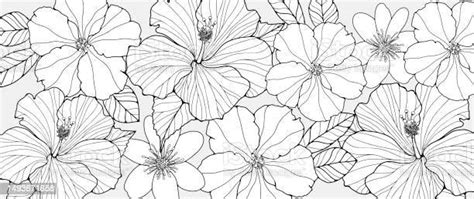 다른 꽃과 나뭇잎을 가진 흑백 꽃 그림 색칠하기 책 장식 디자인 엽서 및 프레젠테이션을 위한 그림 0명에 대한 스톡 벡터 아트 및 기타 이미지 Istock