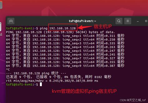 ubuntu宿主机上安装kvm，使用kvm管理多个ubuntu机器 ubuntu kvm csdn博客