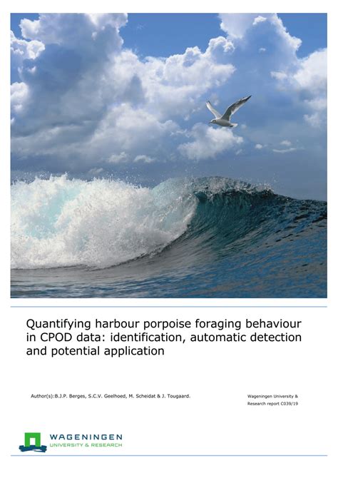 pdf quantifying harbour porpoise foraging behaviour in cpod data