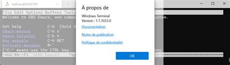 Emacs How Are Keyboard Inputs Transmitted Through Windows Terminal