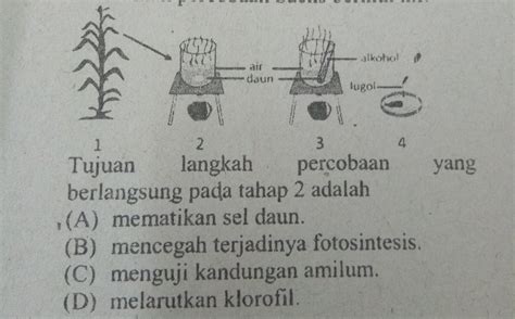 Tujuan Dari Melakukan Reduce Adalah