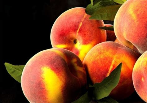 Coming Soon A Powerful New Hybrid Renderer Watch For It Cgtrader