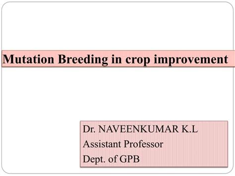 21 Mutation Breeding In Crop Improvement Pptx