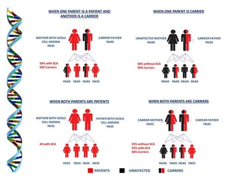 Interaction Of Genes Pdf