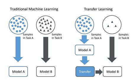lora learning to optimize for resource allocation in wireless networks