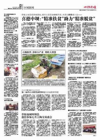 罗江县略坪镇葵花节明日迎客 四川经济日报