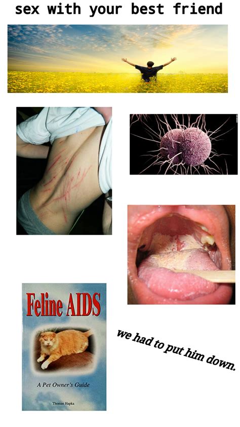 Sex With Your Best Friend Starter Pack R Stopperpacks