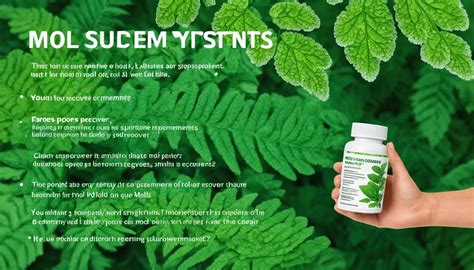 Mold Exposure Detox Plan A Guide To Recovery