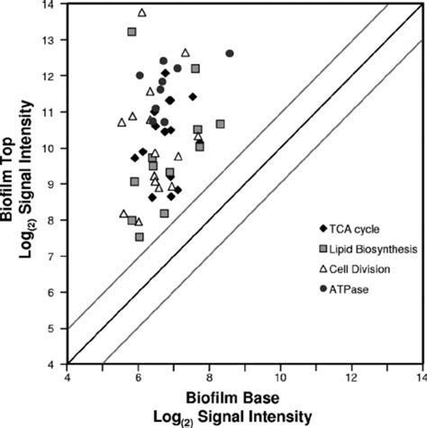 Microarray Results Of Mrna Signal Intensities Of Metabolic Housekeeping Download Scientific