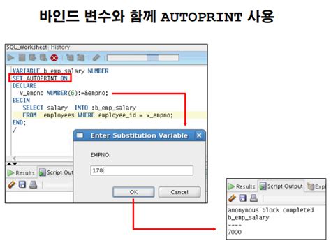 Oracle Dba Plsql 230720