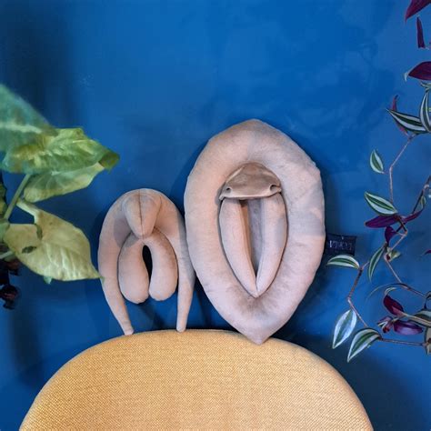 Vulva Anatomy Teaching Set Vulva And Clitoris Pillows Etsy Hong Kong