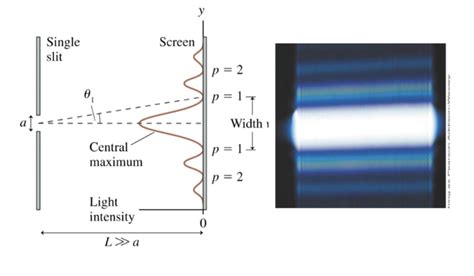 Solved Q121 Single Slit Interference 1 Assume That You