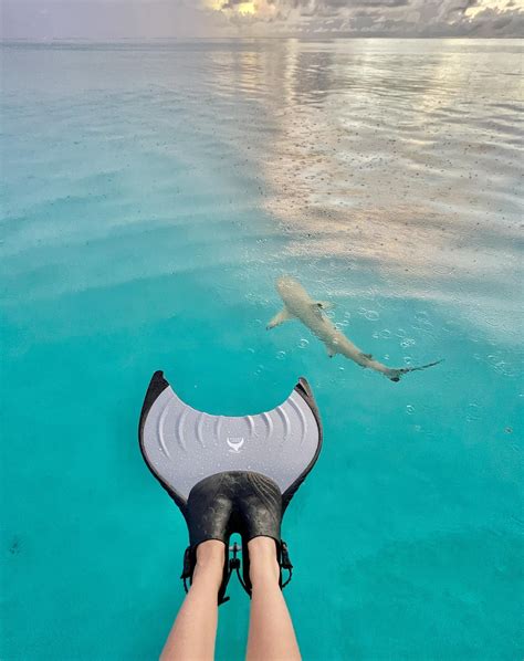 Mermaid Marla Mermaid Marla Added A New Photo — With