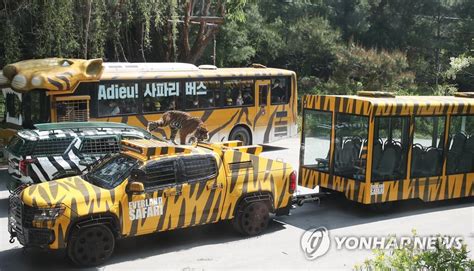 아듀 사파리 버스 웰컴 사파리월드 와일드 트램 연합뉴스