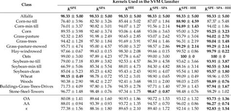 classification results [mean accuracy ± standard deviation] by the