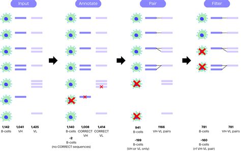 Bruker Cellular Analysis Beacon® Data In Pipebio Software