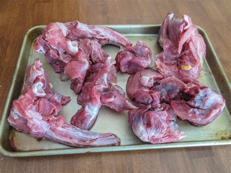 Simple Info About How To Cook Snapping Turtle Welfareburn20